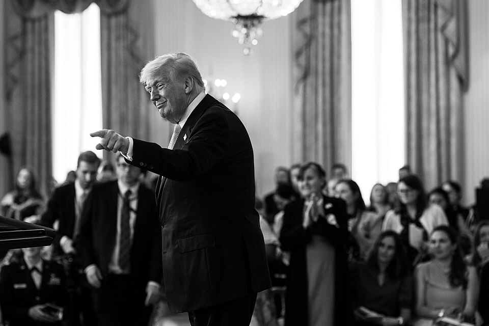 MAGA Reporter Backstabs Trump - Woke Polls